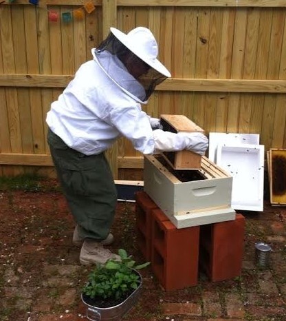 La Bee da Loca, Honey Bee Education , Honey Infused Goods, Culpeper ...